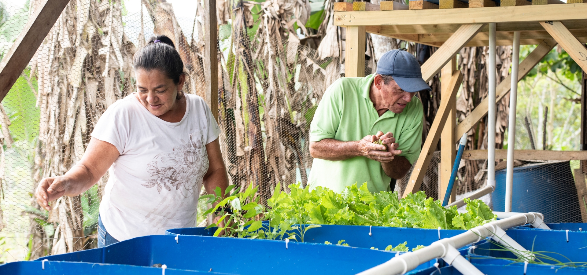 Imagine Rotary | Tri-District Conference